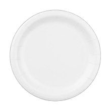 Custom 7" Paper Plates – Cool and Custom
